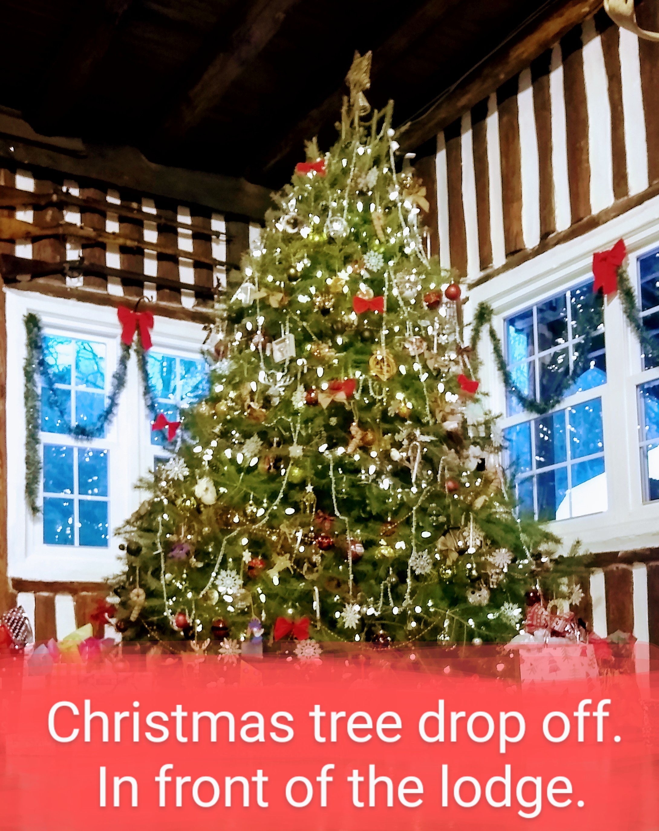 Christmas Tree Drop off! – Blair County Game