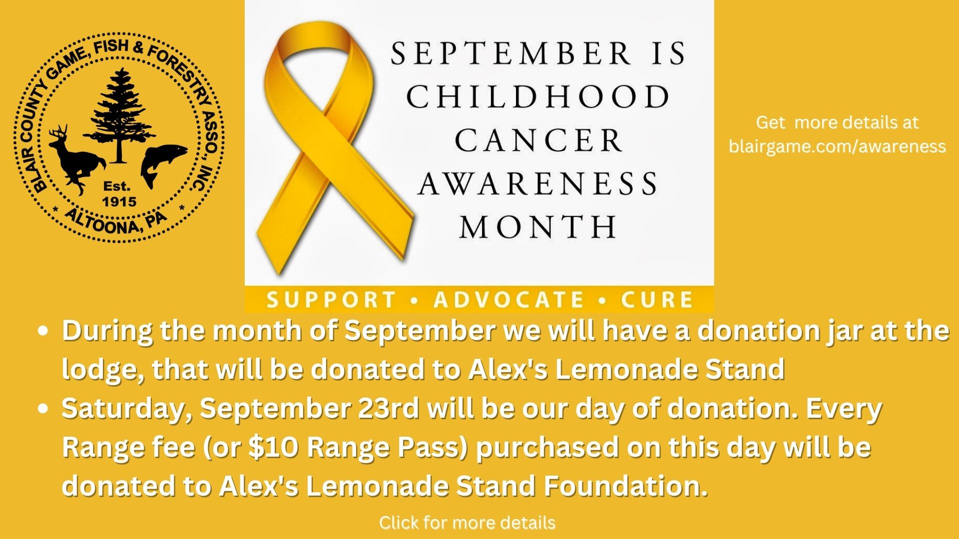 September is Childhood Cancer Awareness Month – Blair County Game